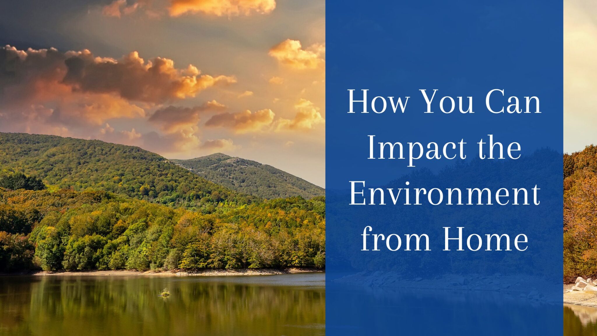 How You Can Impact the Environment from Home - 5 Tips